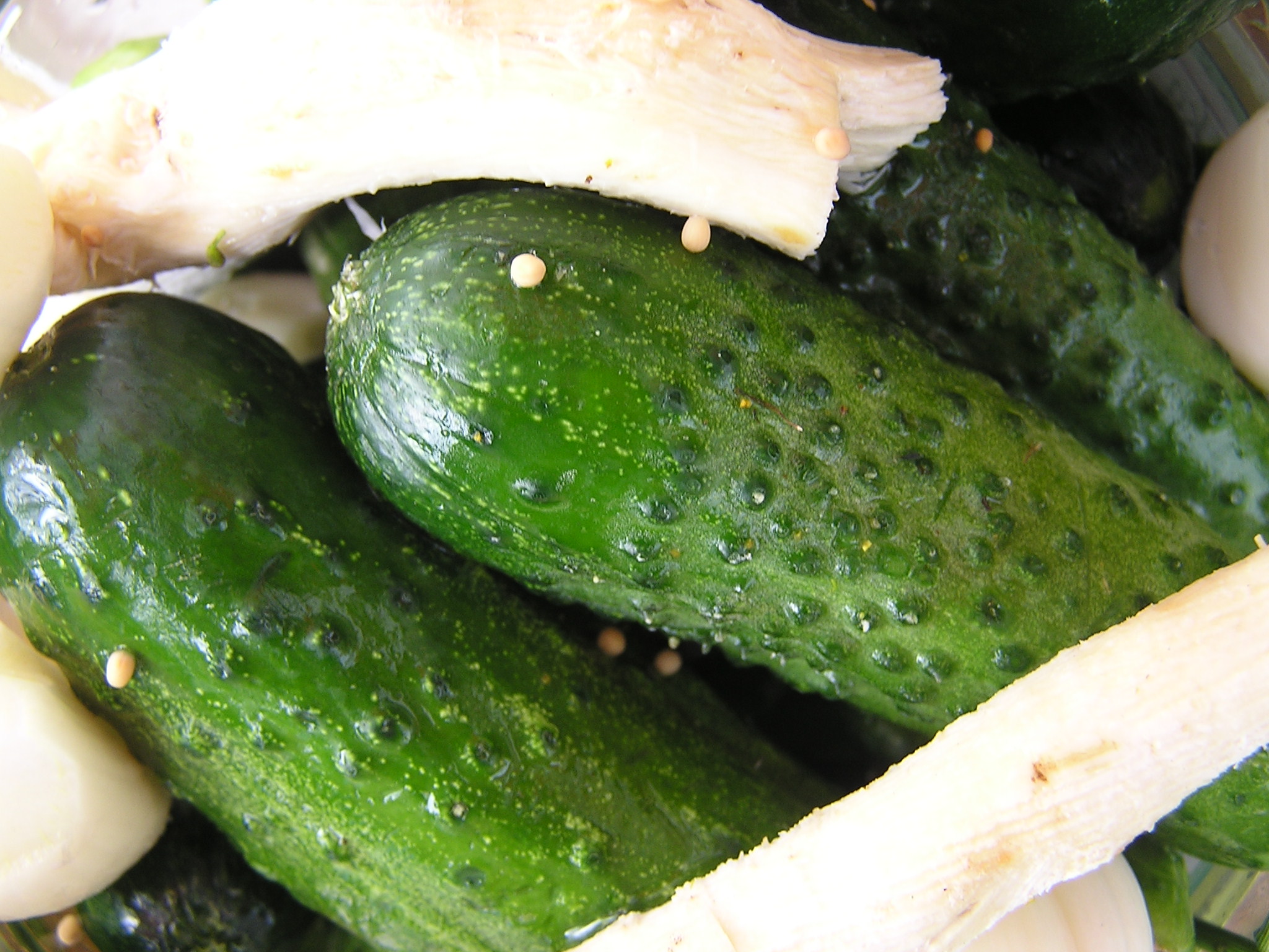 What is your gut telling you?