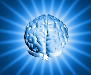 The Brain in Hypnosis