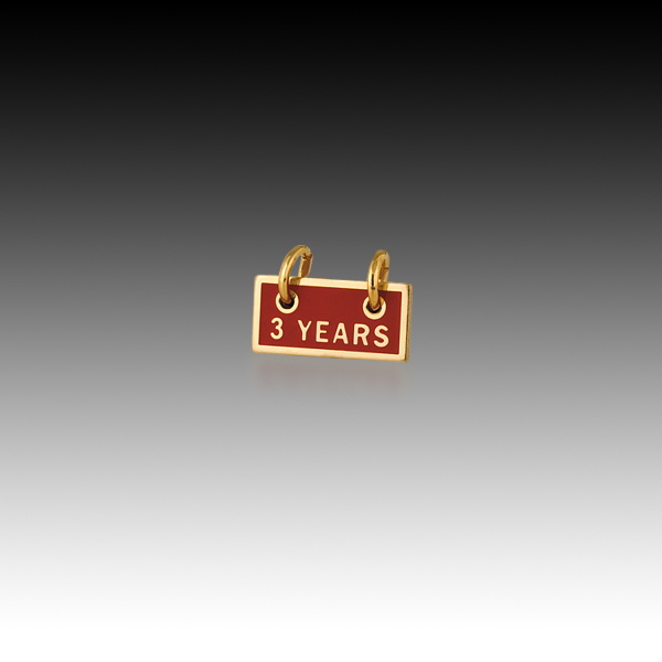 Lapel Pins Years of Service | Mike Brothers LLC