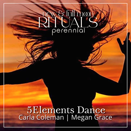 Yoga Classes | Perennial Yoga | Madison and Fitchburg, WI