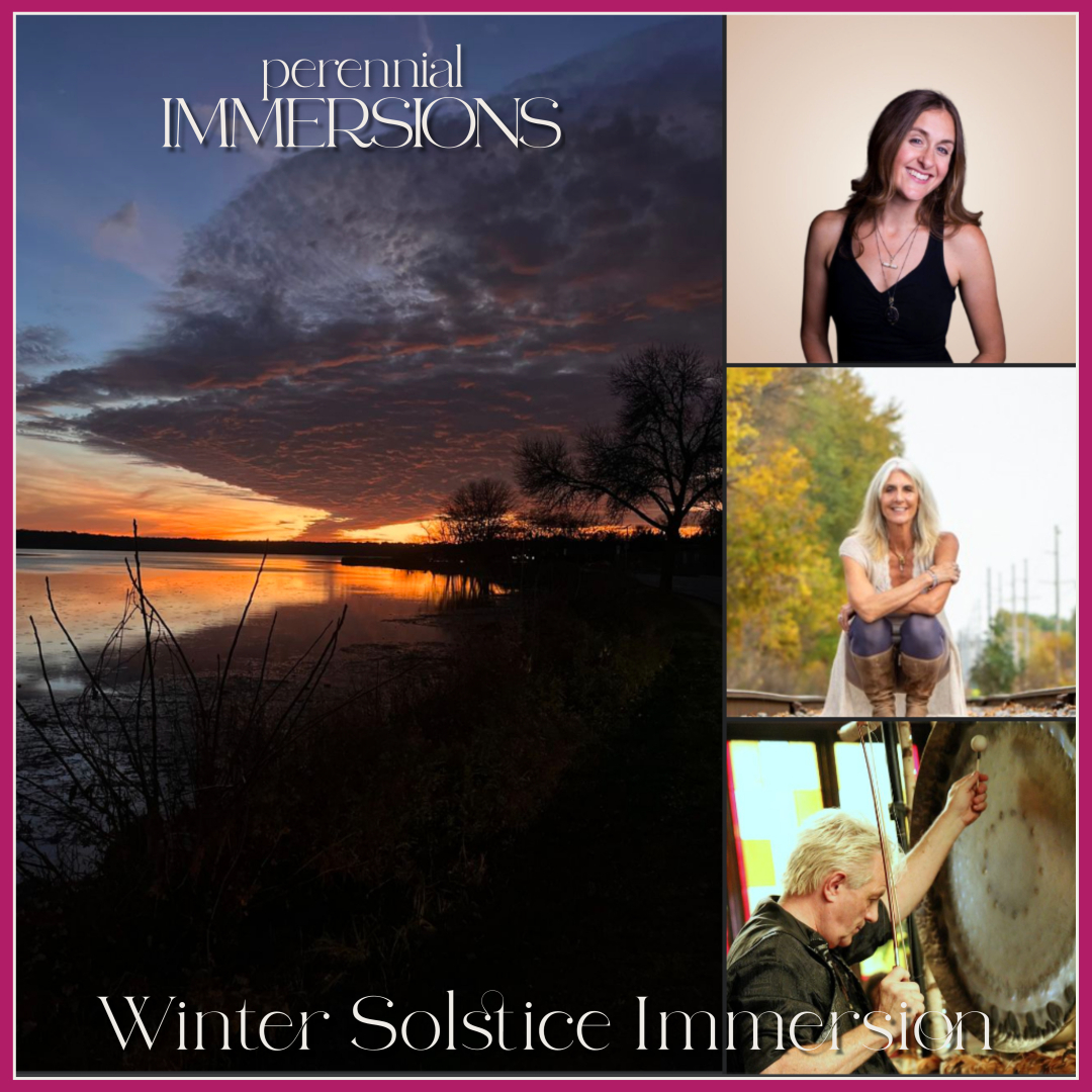 The Perennial Way | December Newsletter