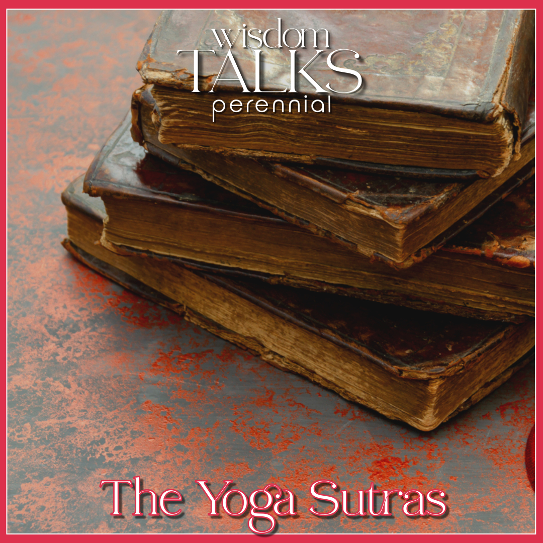 The Perennial Way | November