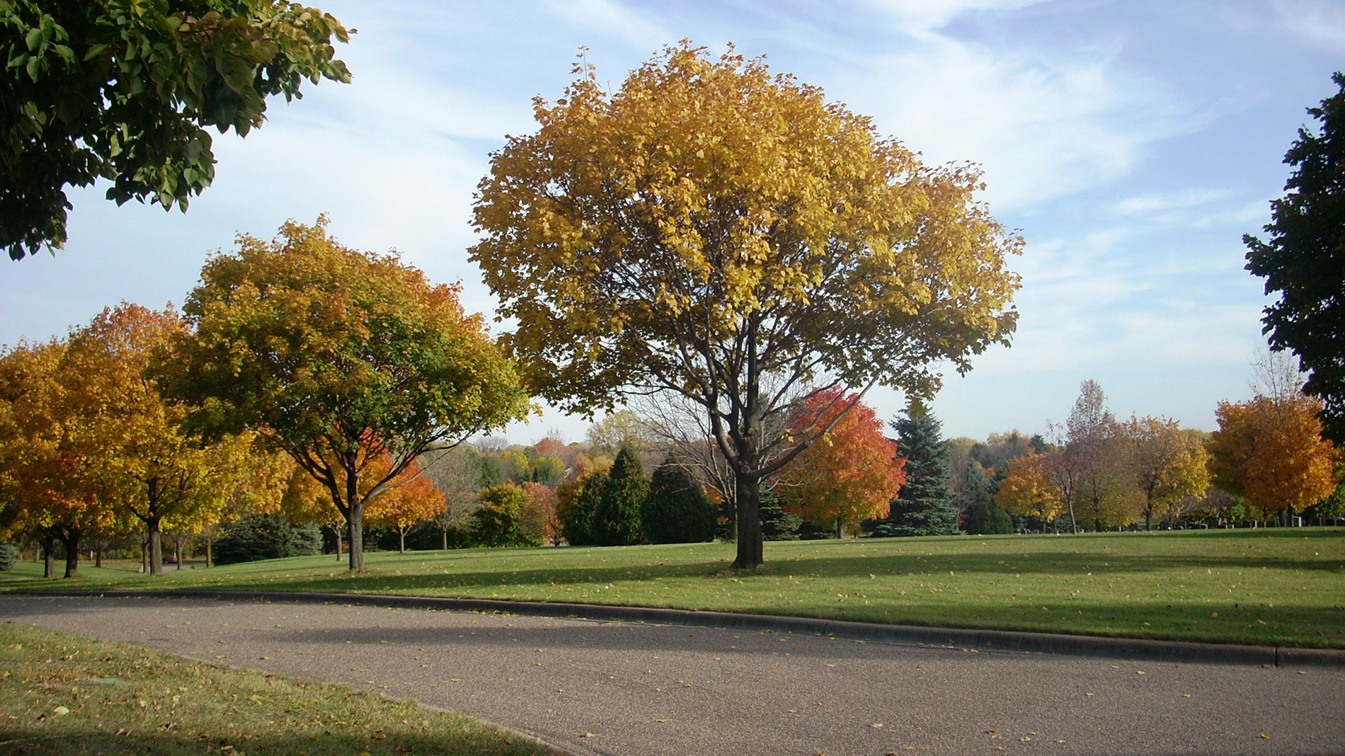 Home [roselawncemetery.com]
