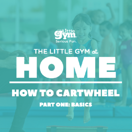News & Updates | The Little Gym Hampstead | NW3 6LU