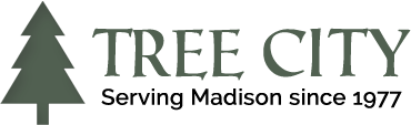 Home | Tree City | Madison, WI