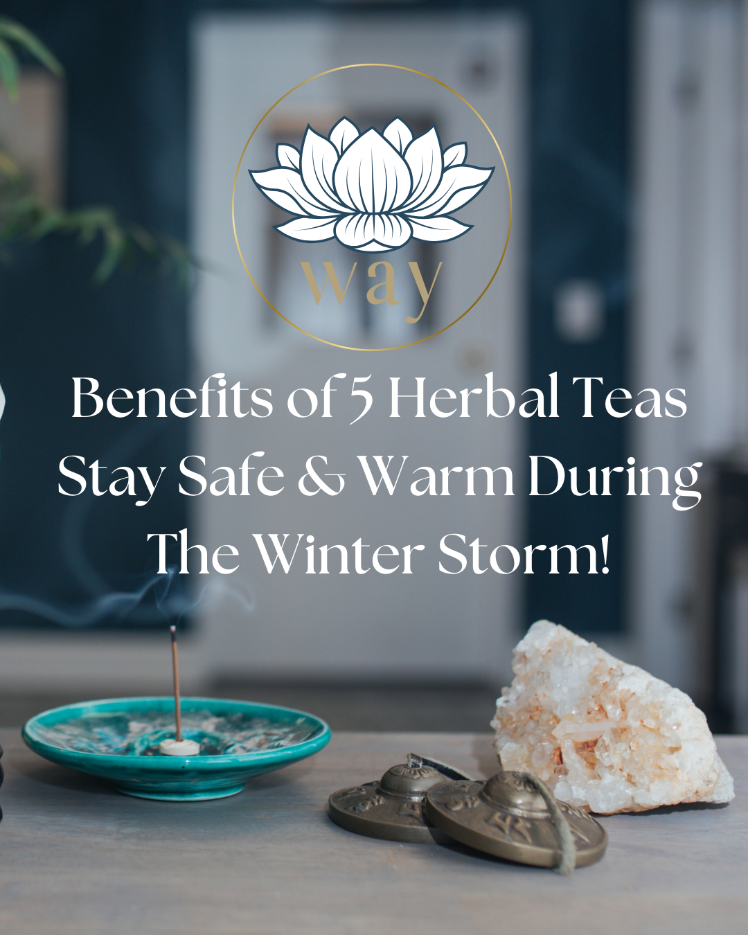 Benefits of 5 Herbal Teas - Stay Safe & Warm During The Winter Storm!