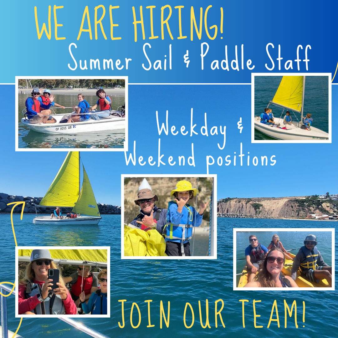 Home | Westwind Sailing | Dana Point, CA 92629